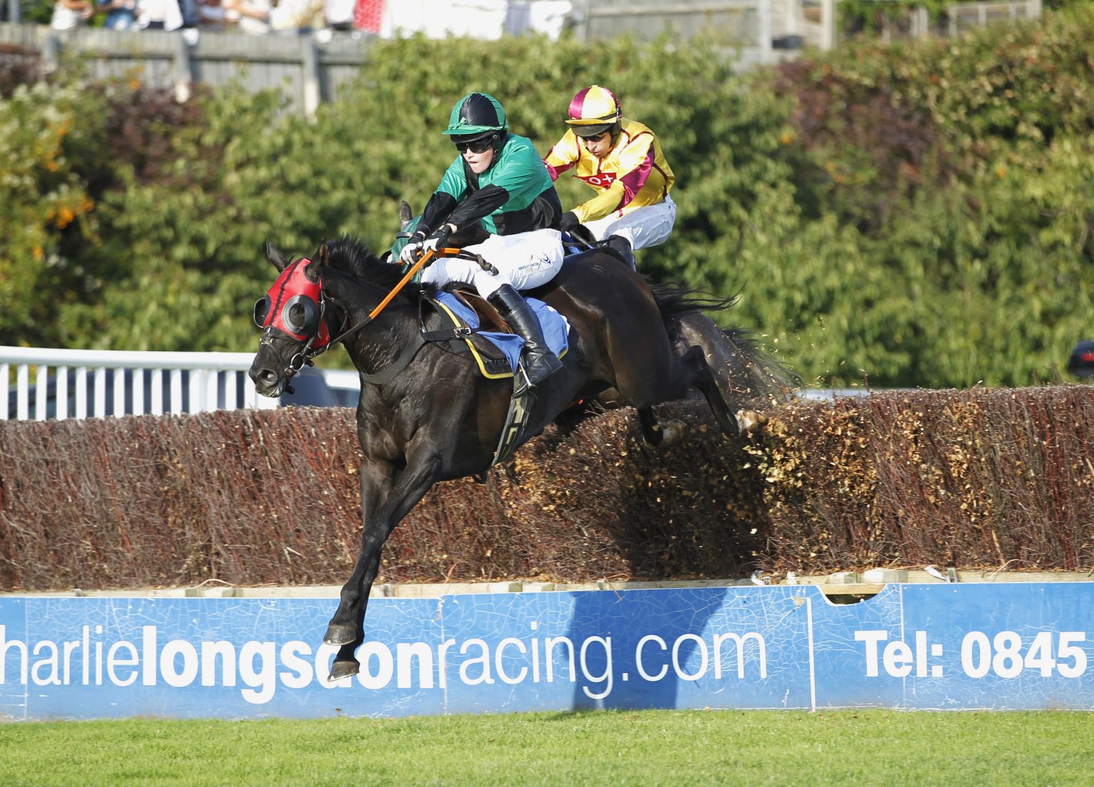 Steel Wave rolls back the years – Stratford Racecourse | Horse Racing ...